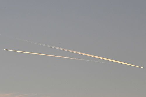 Roger Hohl wird neuer ACM-Chef | Austrian Wings