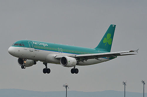 Aer Lingus mit weniger Passagieren im November | Austrian Wings