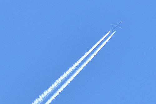 IATA und ACI entwickeln gemeinsam Smart Security | Austrian Wings